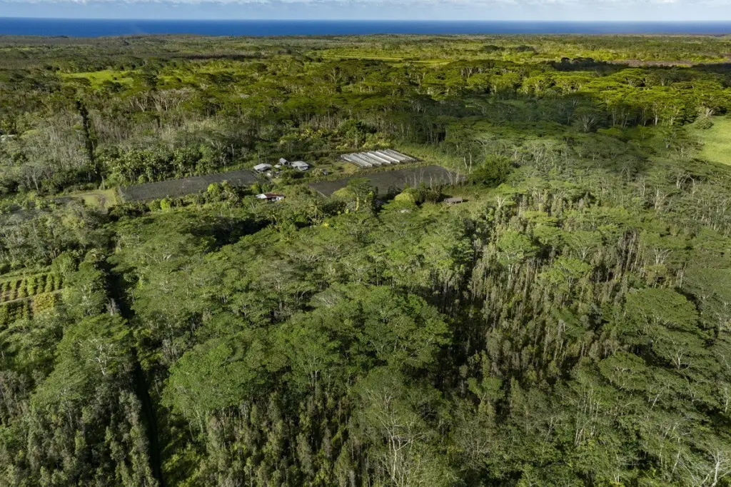 Nanawale Farms Rd, Pahoa, HI 96778 - Agricultural land for sale - Realmo