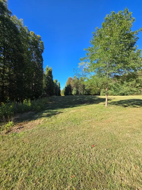 Ellison Ridge Rd, Jumping Branch, WV 25969 - Agricultural land for sale ...