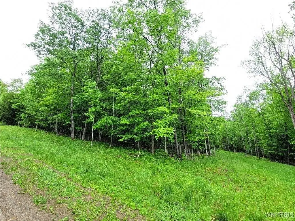 Cr-24-, Swain, NY 14884 - Land for sale - Realmo