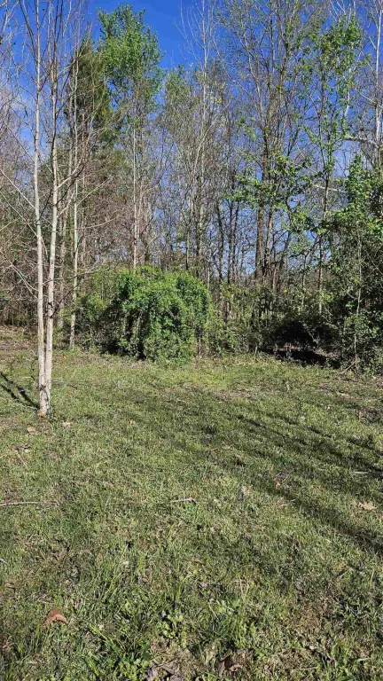 County Road 417, Rector, AR 72461 - Farm for sale - Realmo