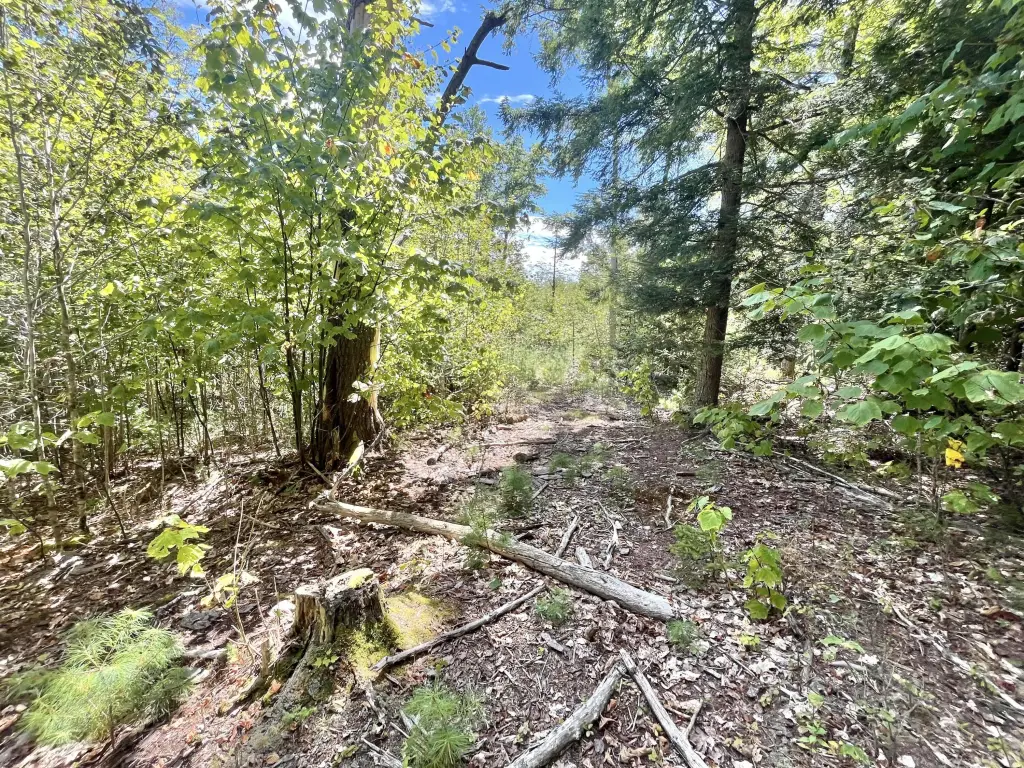 Bald Mountain Rd, Dedham, ME 04429 - Land for sale - Realmo